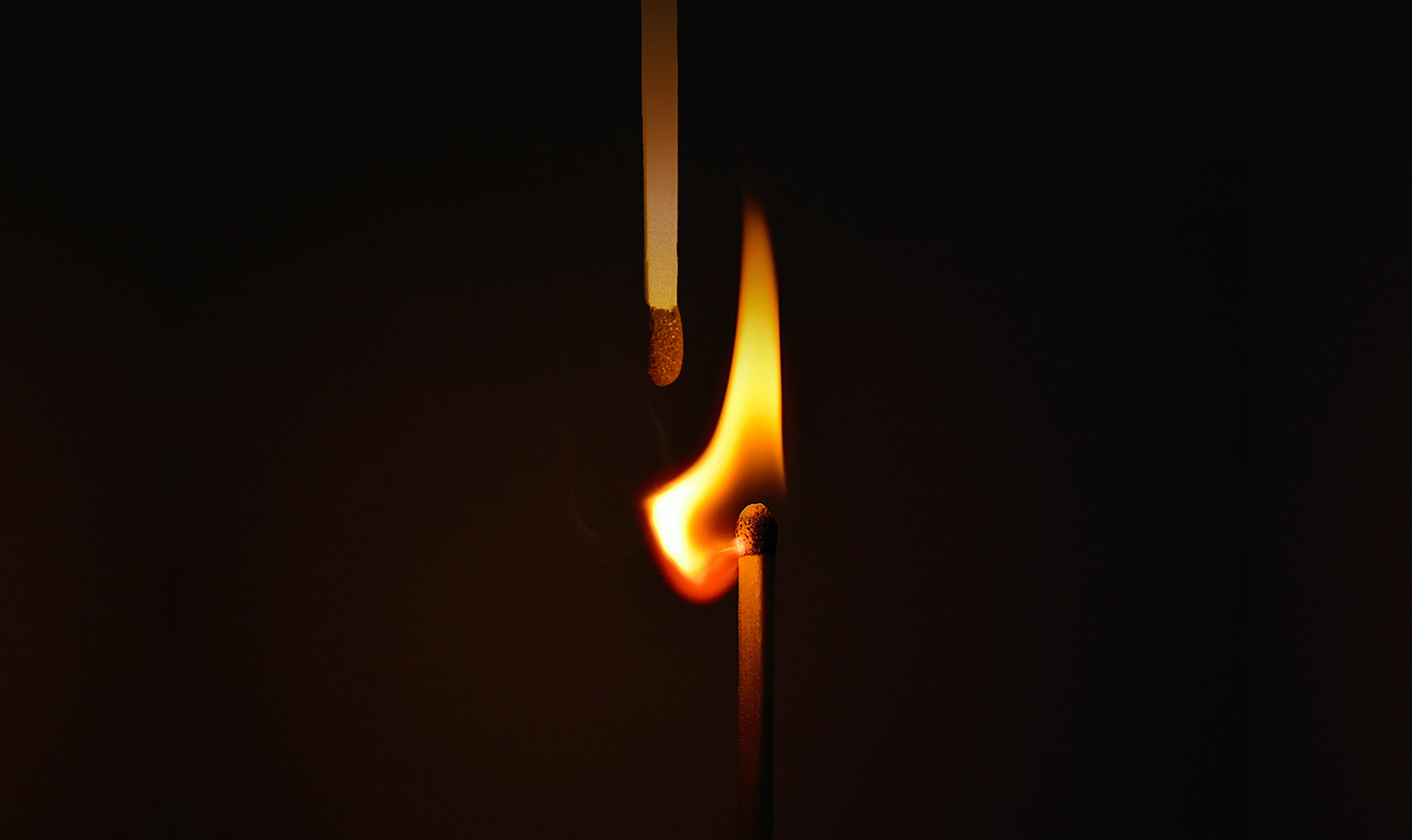 7 Strategies for Effective Sustainability Communications | Ideas On Purpose